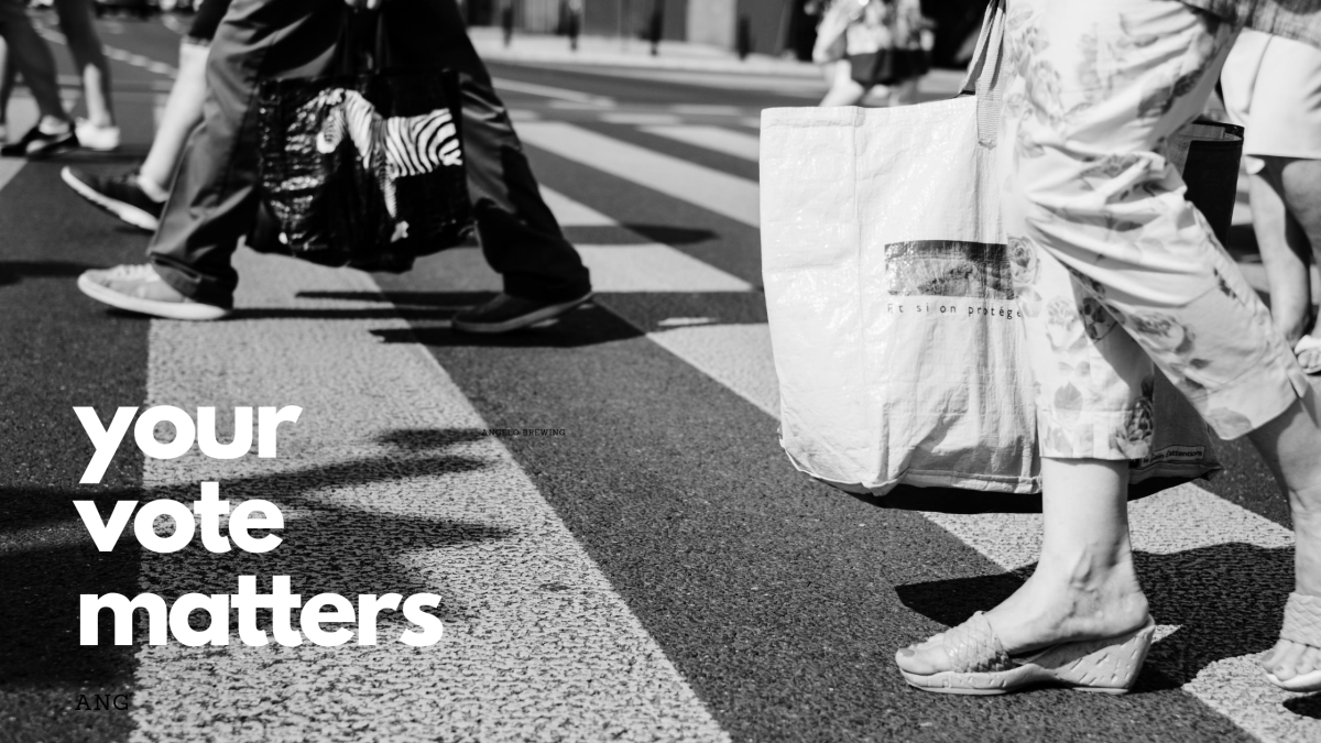 Why does your Vote matter? – Rotaract Club of Faculty of Law University ...