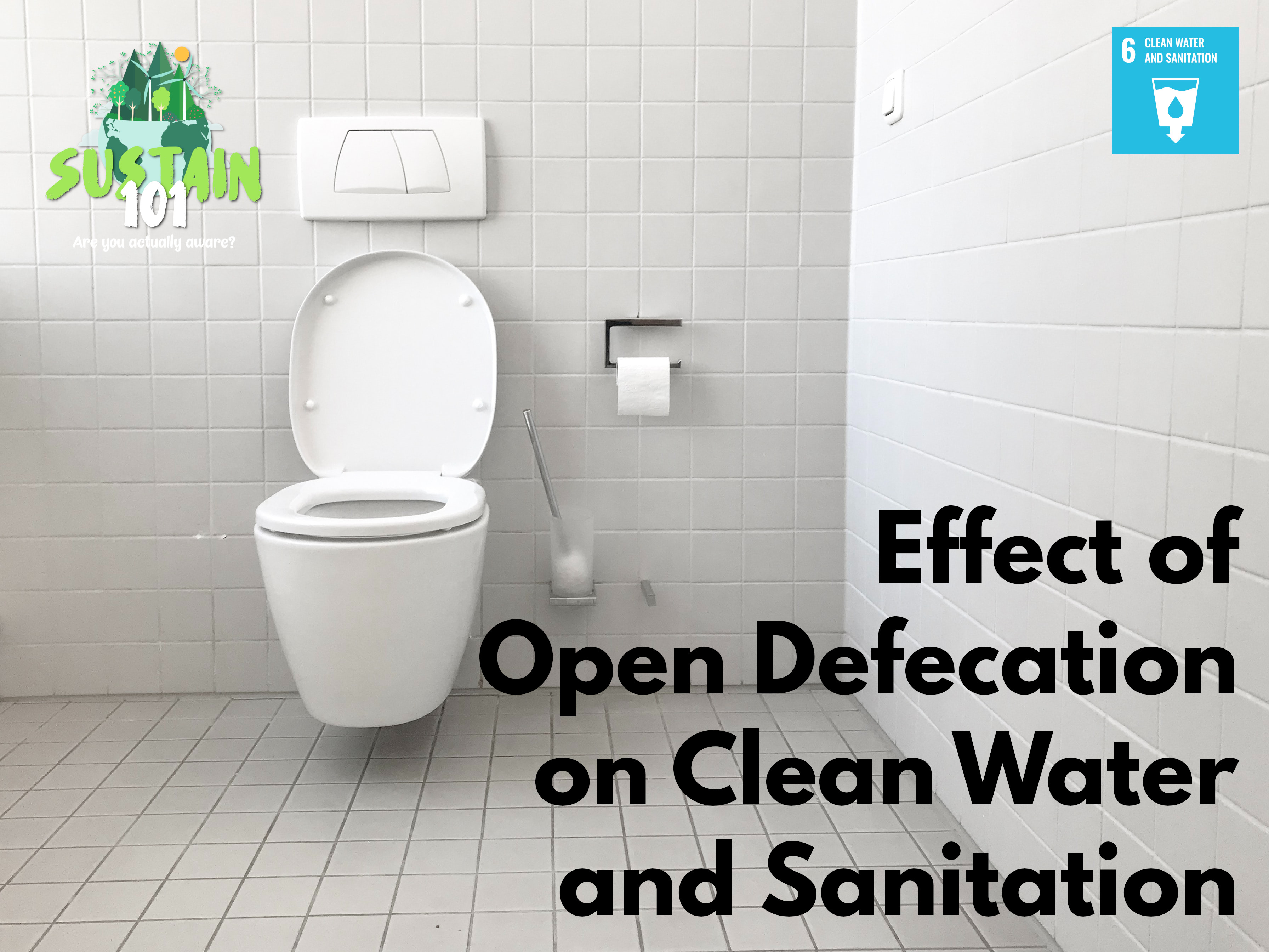 Effect of Open Defecation on Clean Water and Sanitation – Rotaract Club ...
